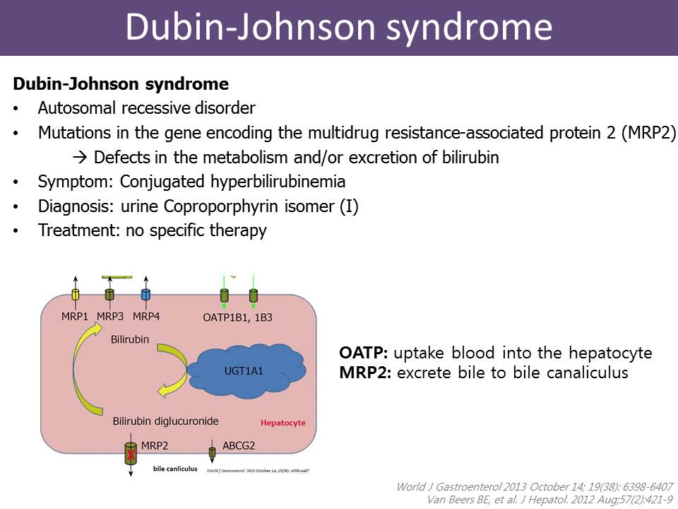 The Korean Society of Abdominal Radiology